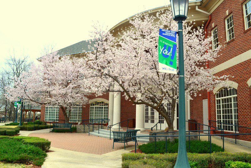 About ASUMH - The Sheid - Mountain Home, Arkansas