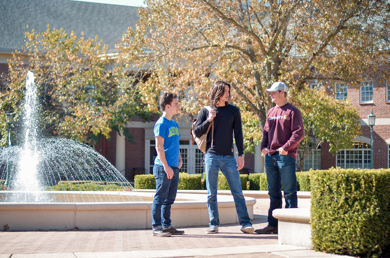 About ASUMH - The Sheid - Mountain Home, Arkansas