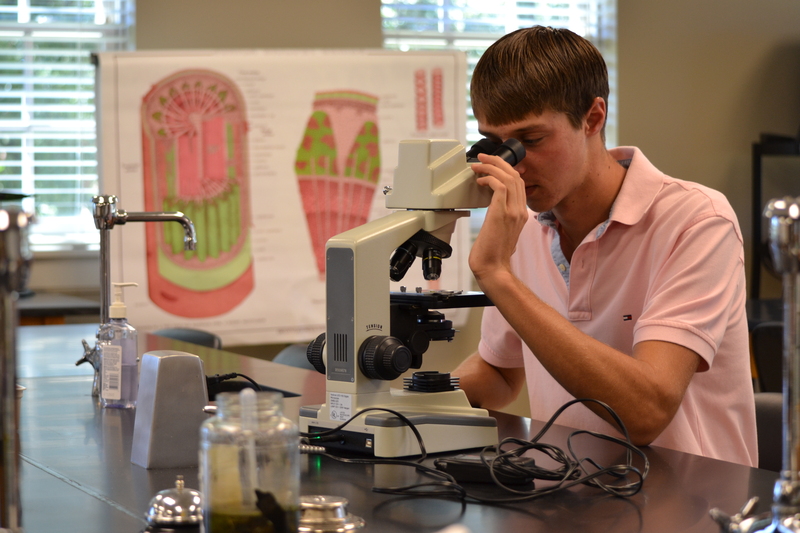 About ASUMH - The Sheid - Mountain Home, Arkansas