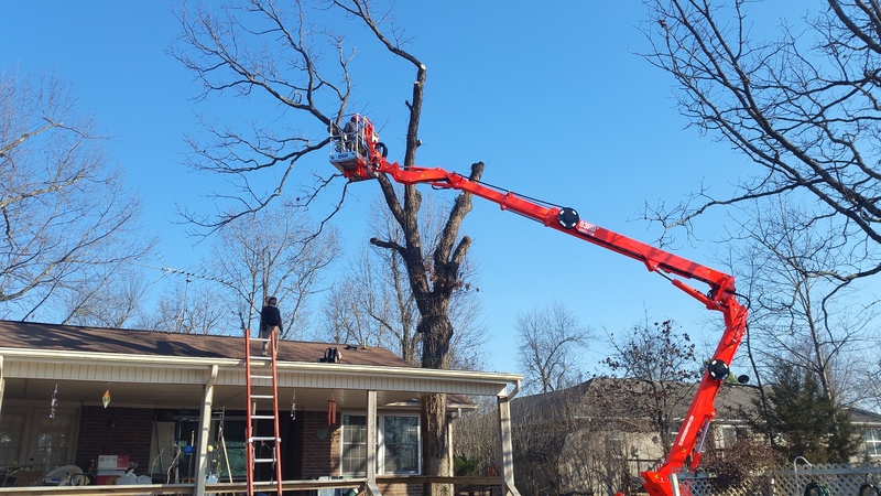 ALL TERRAIN TRACKED MINI LIFT | Clean Cut Tree Service | Mountain Home ...