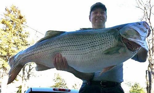 World Record Bass Caught - Bull Shoals Lake - Explore the Ozarks