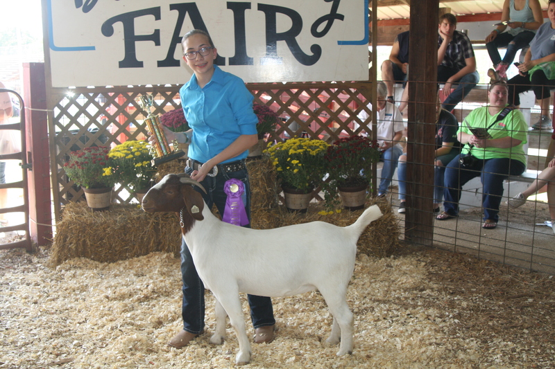 2018 Parade of Champions | Baxter County Fair Association