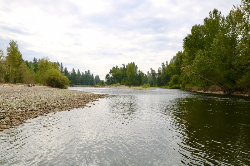 BITTERROOT RIVER, MONTANA | Empty Creel Fly Fishing | Heber Springs, AR