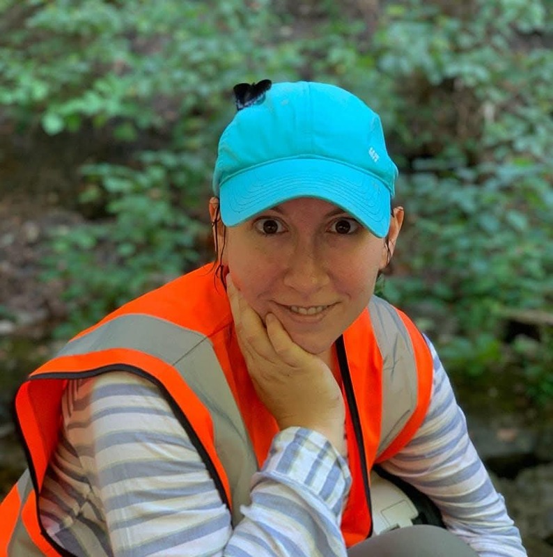 2025 POPE COUNTY LIBRARY HOSTS DINORAMA /SUMMER READING FINALE AT THE ...