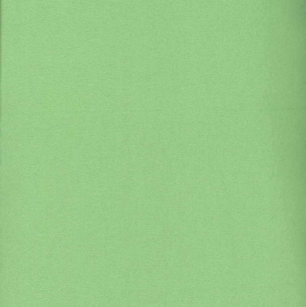 45 Snuggle Flannel Bright Green 1 Bolt 15 Yards 345 Yd | Marshall Dry ...