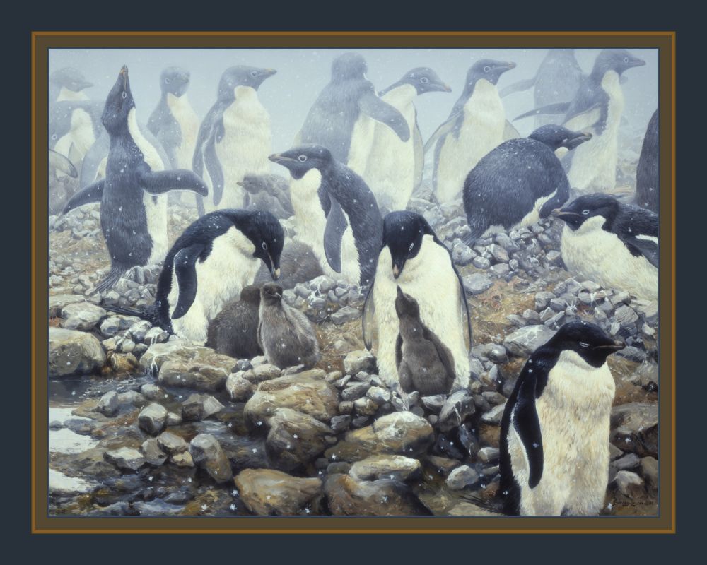 45 Spring Flurry Penguin Panel | Marshall Dry Goods Company